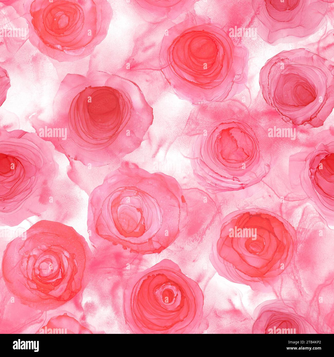 Abstract alcohol ink liquid rose stain luxury background. Pink red rose flowers fluid stains ...