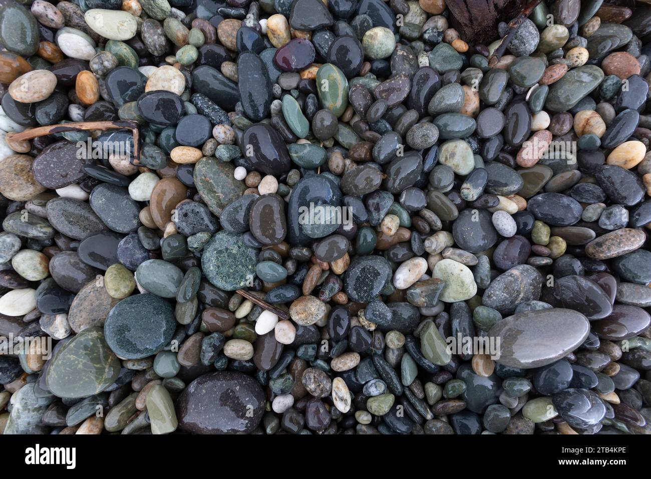 Stones at Gemstone beach invercargill Stock Photo - Alamy