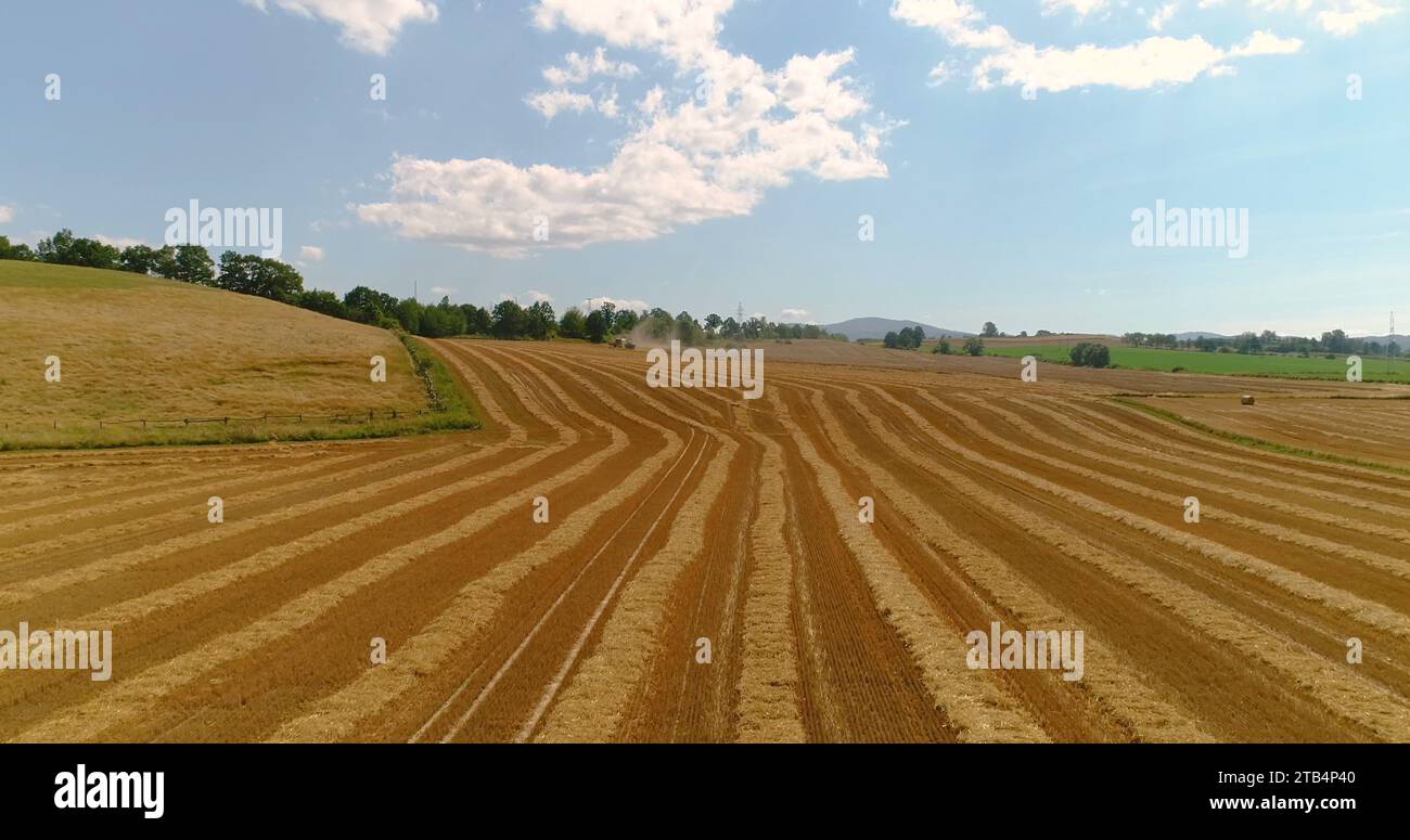 Wheat 4k hi-res stock photography and images - Alamy