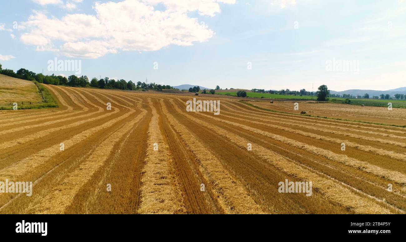 Combine harvester blades threshing wheat hi-res stock photography and ...