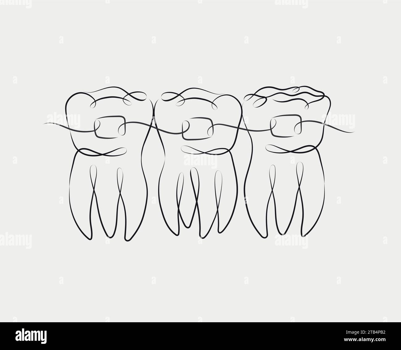 Teeth with braces illustration drawing in linear style on white ...