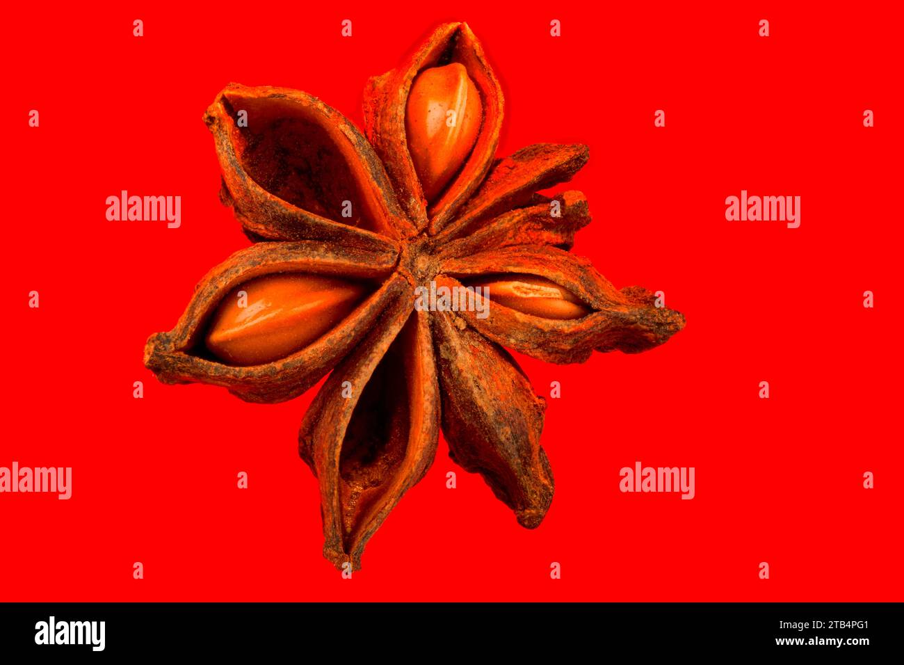 Striking macro food ingredient still life portrait of Illicium verum ...