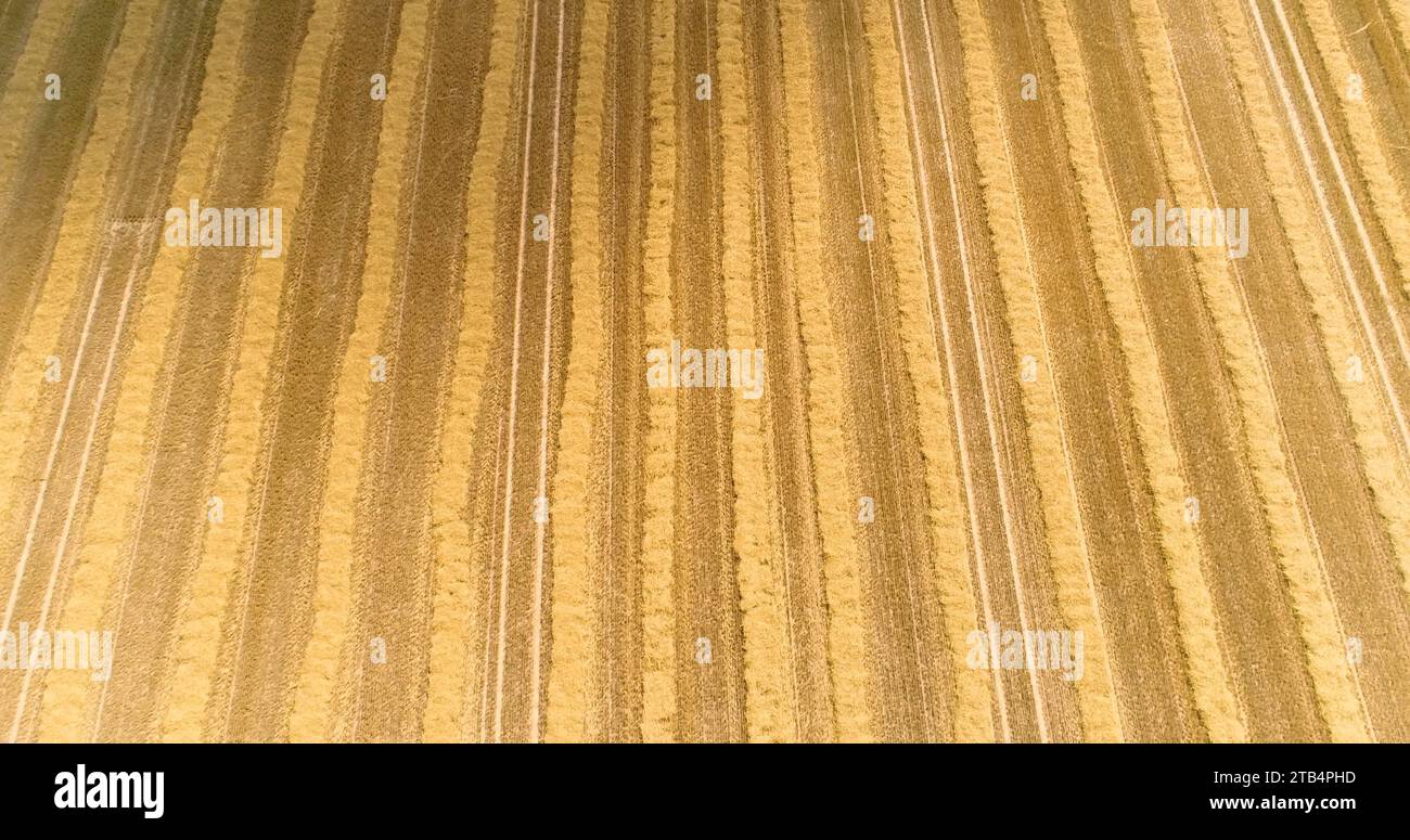 Combine harvester blades threshing wheat hi-res stock photography and ...