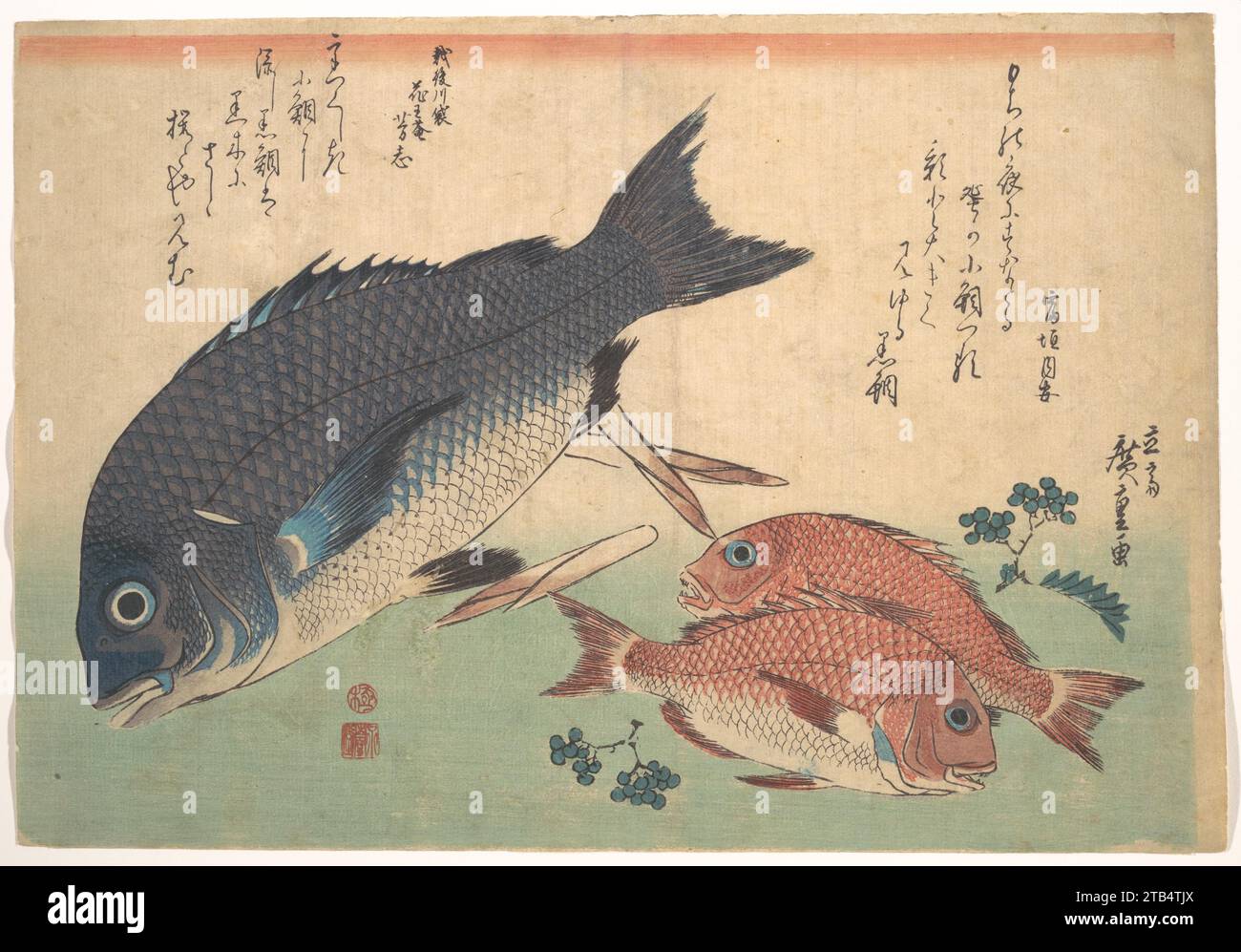 Kurodai and Kodai Fish with Bamboo Shoots and Berries, from the series ...