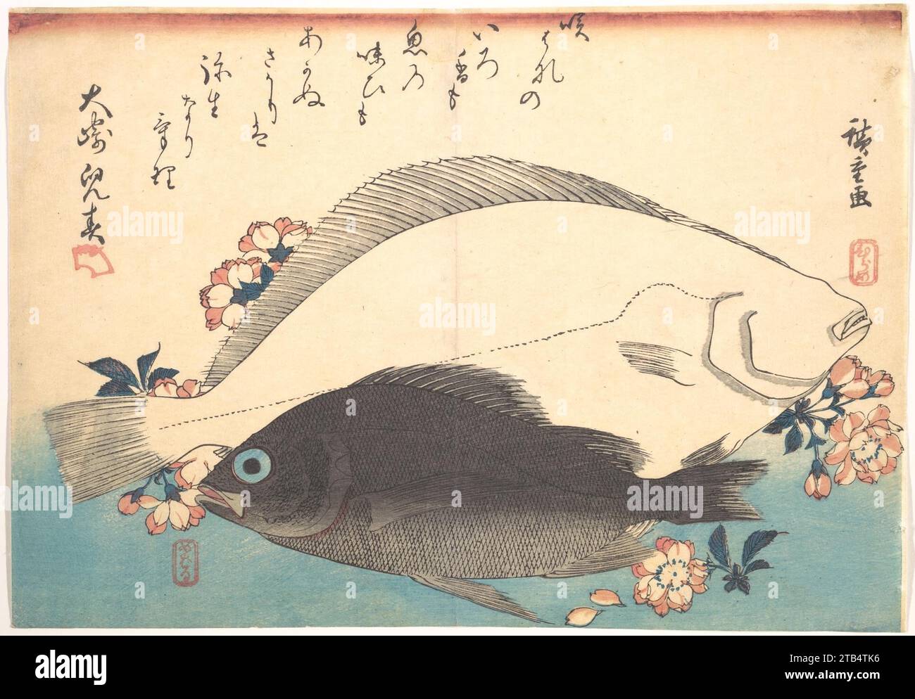 Hirame and Mebaru Fish with Cherry Blossoms, from the series Uozukushi ...