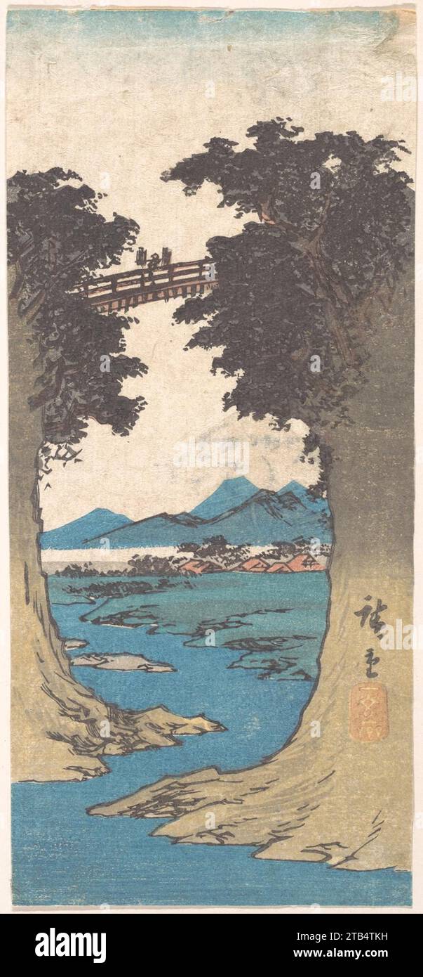 Monkey bridge hi-res stock photography and images - Alamy