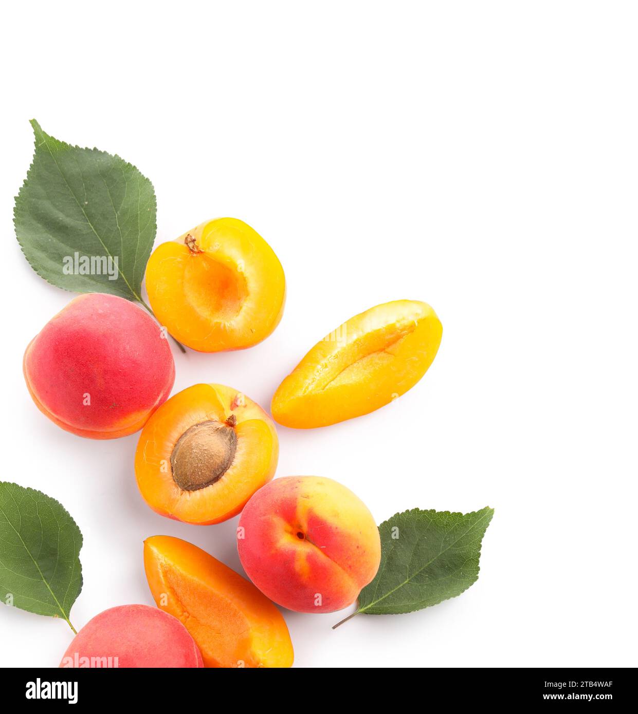 Sweet apricots and leaves on white background Stock Photo - Alamy