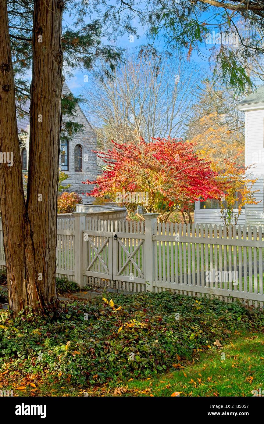 Brightly lit autumn colored trees in lawn behind white picket fence on ...