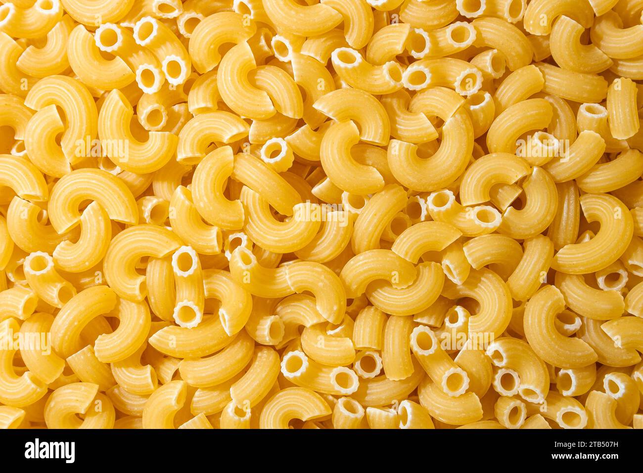 Uncooked Chifferi Rigati Pasta: A Culinary Canvas of Chifferi Rigati ...