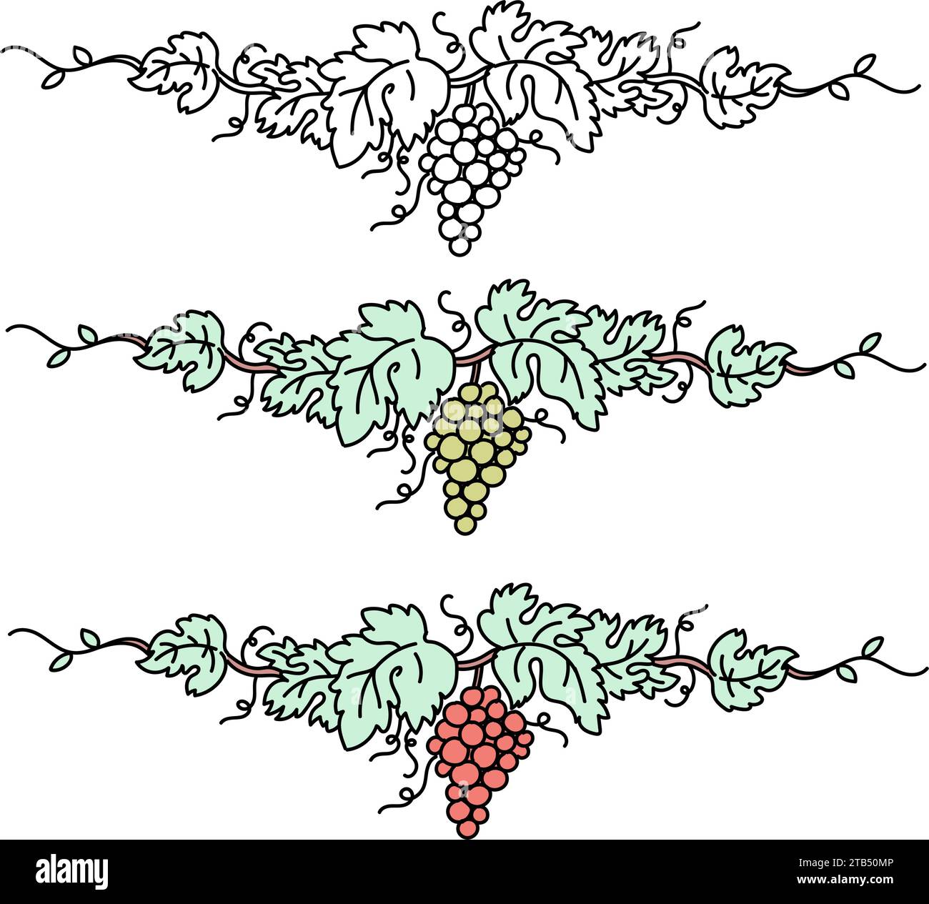 Grape vine set. Vintage ink hand drawn wine decorations border, floral ...
