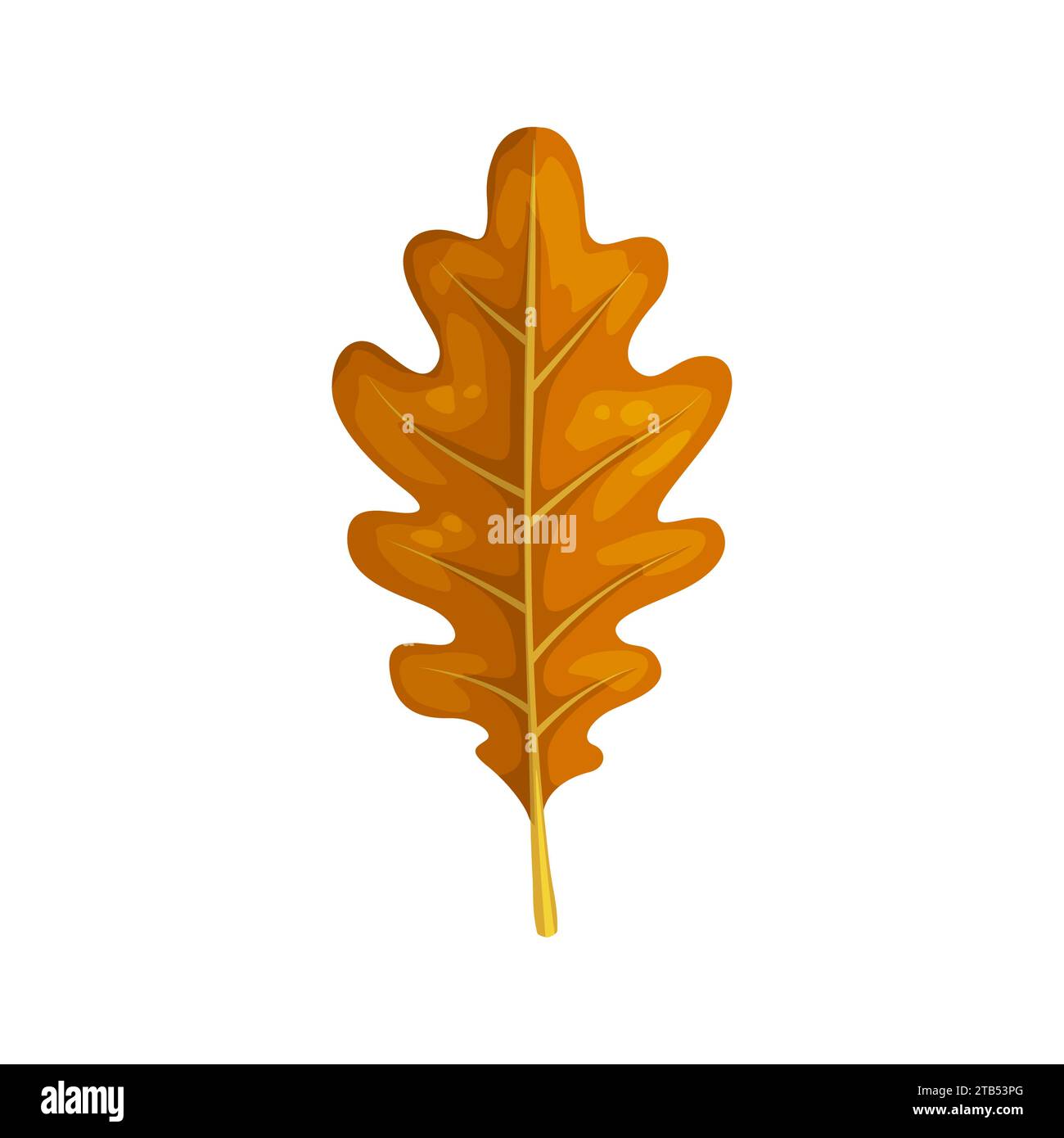 Autumn oak leaf, isolated cartoon vector fallen brown tree foliage. Its ...