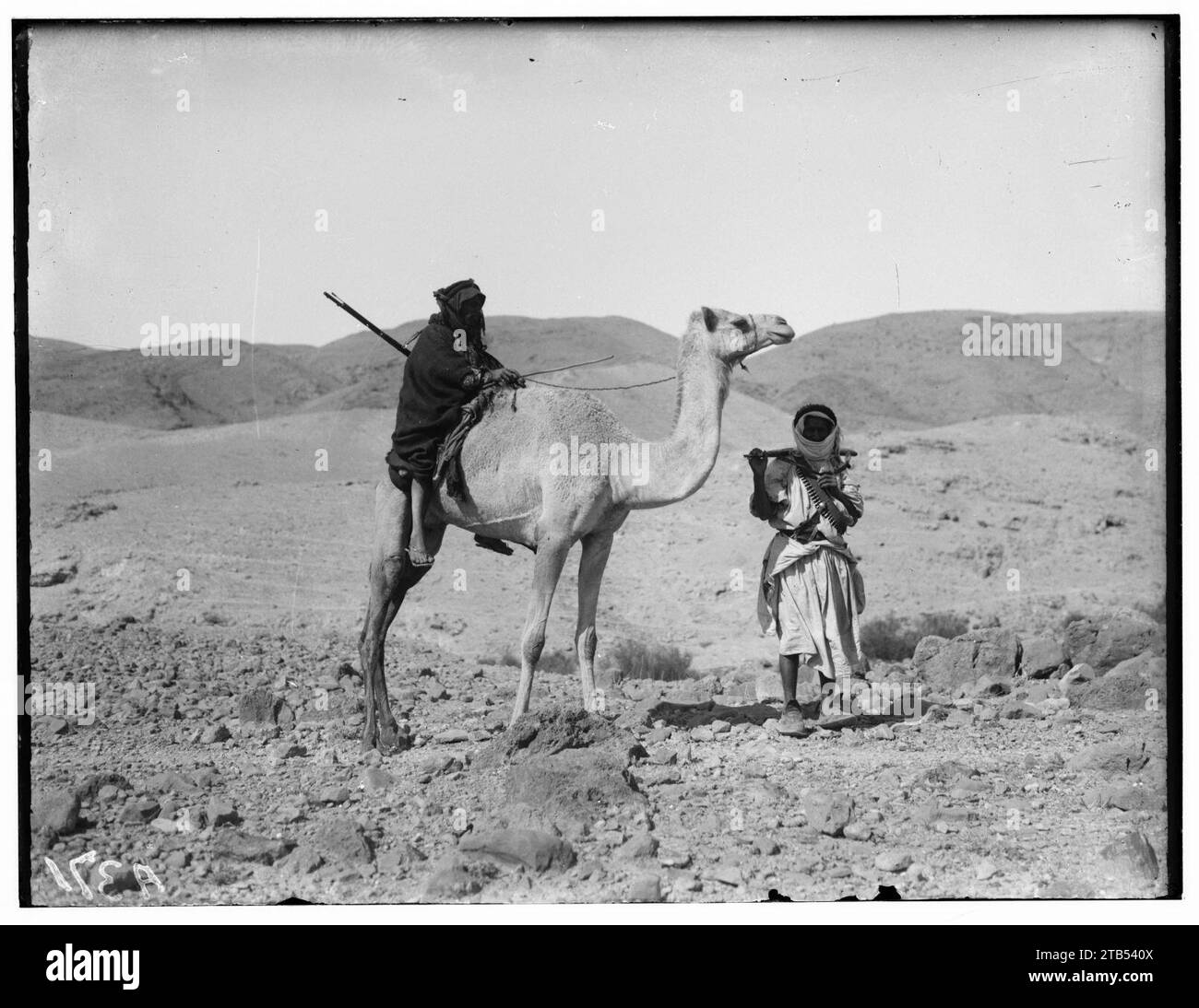 Riding camel historical Cut Out Stock Images & Pictures - Alamy