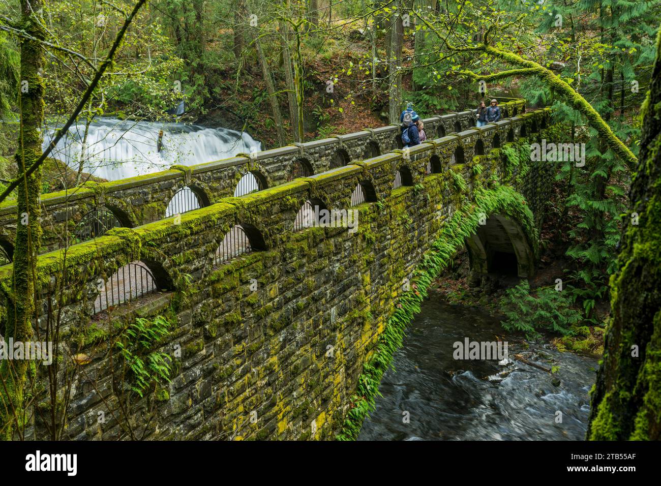 View of the stone bridge from 1939 over Whatcom Creek in Whatcom Falls ...