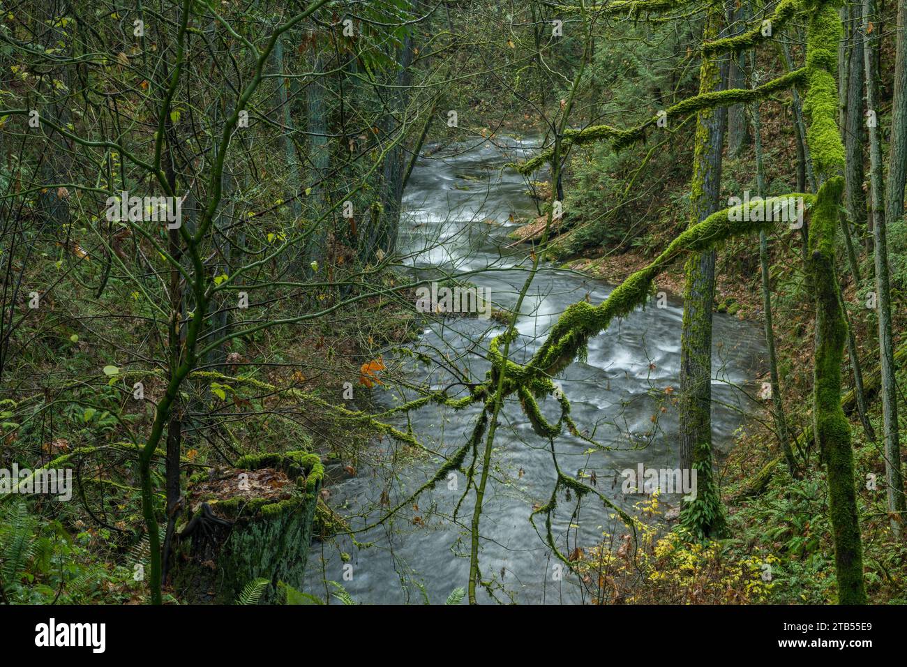 Bellingham wa hi-res stock photography and images - Alamy