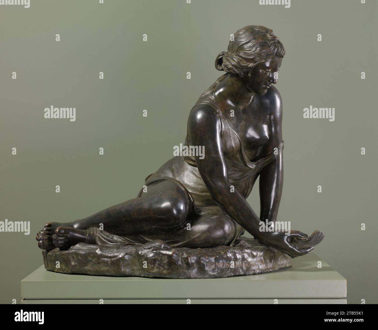 Concha de venus hi-res stock photography and images - Alamy