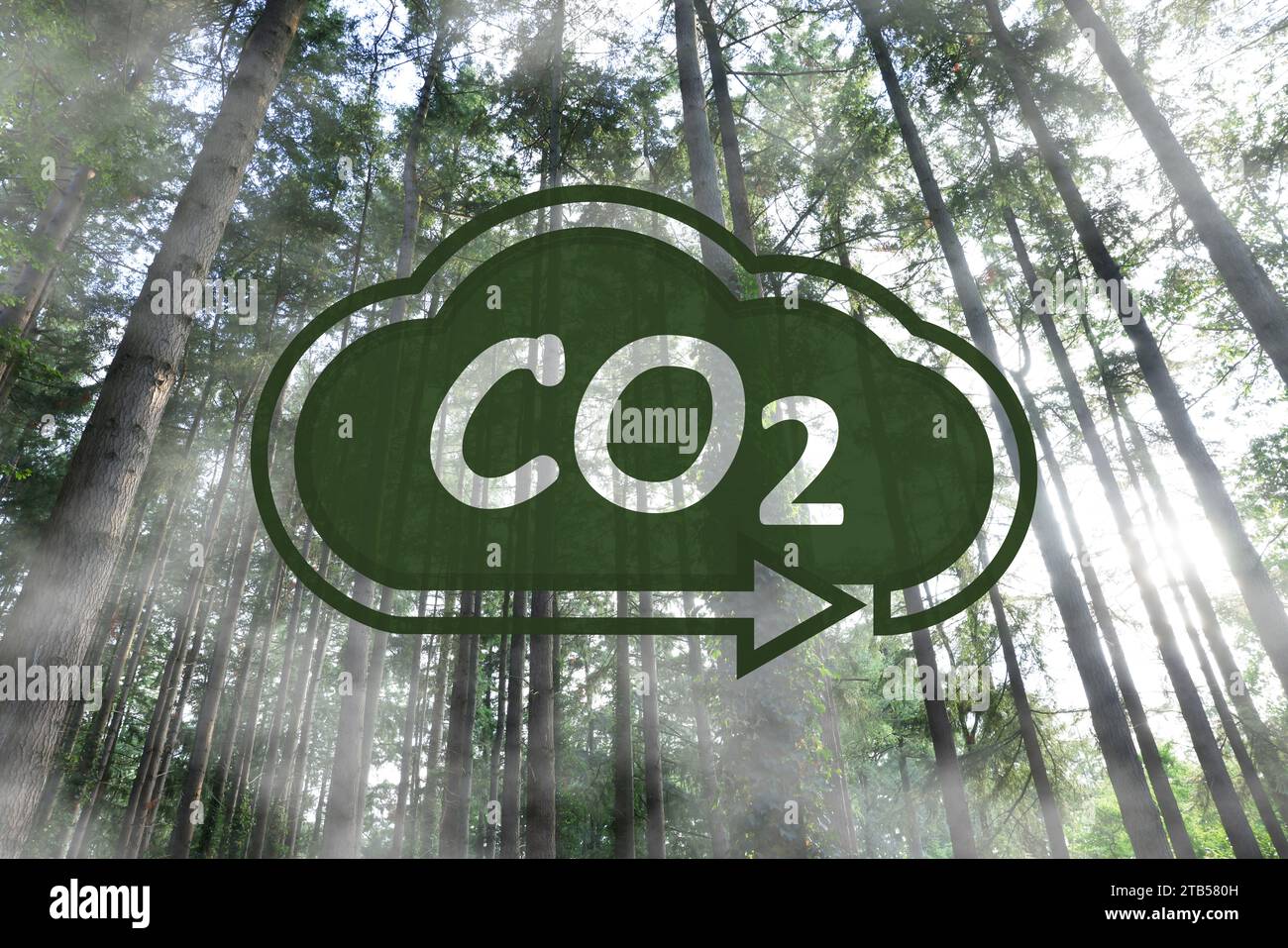 Concept of clear air. CO2 inscription in illustration of cloud with ...