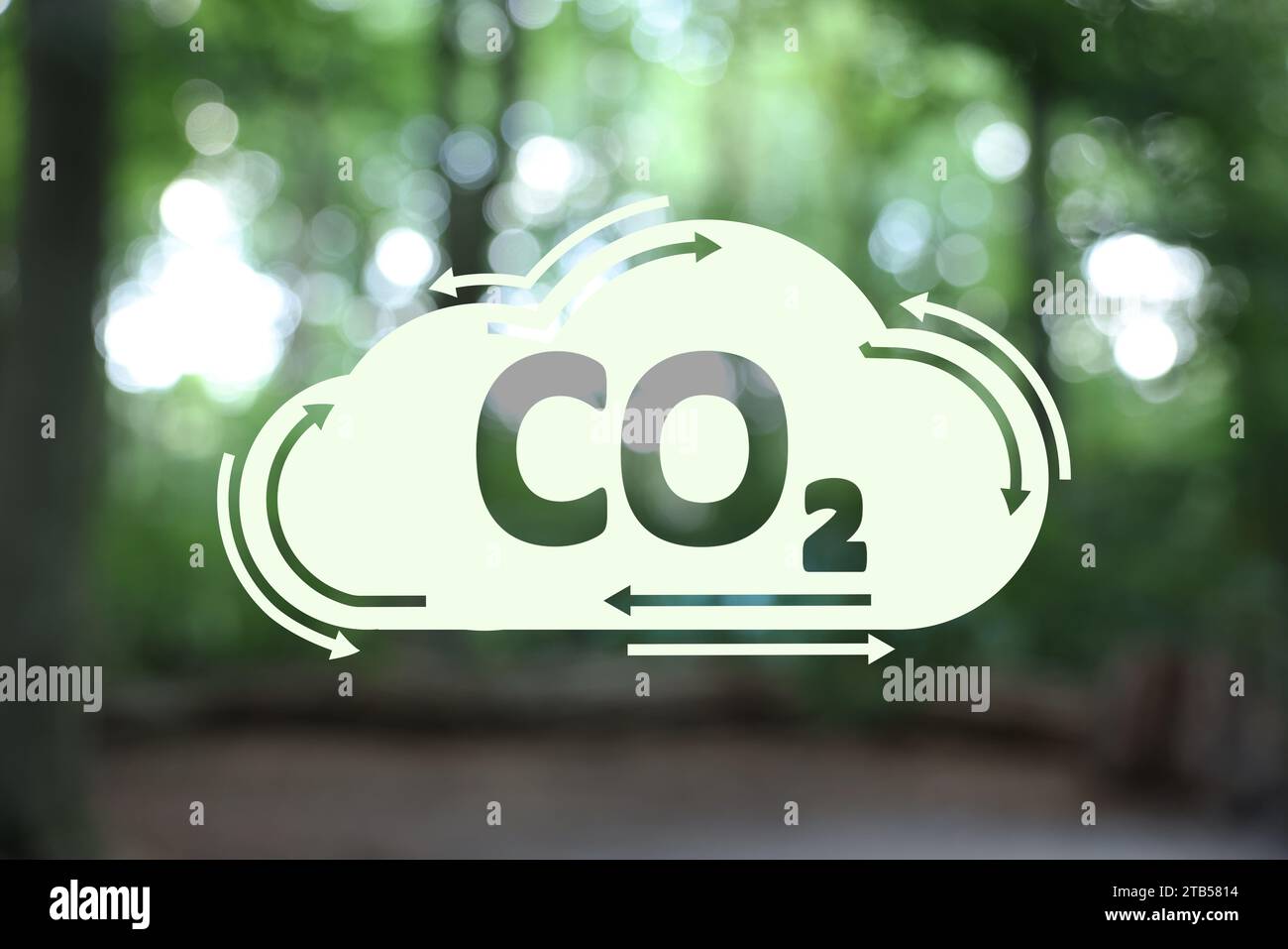 Concept of clear air. CO2 inscription in illustration of cloud with ...
