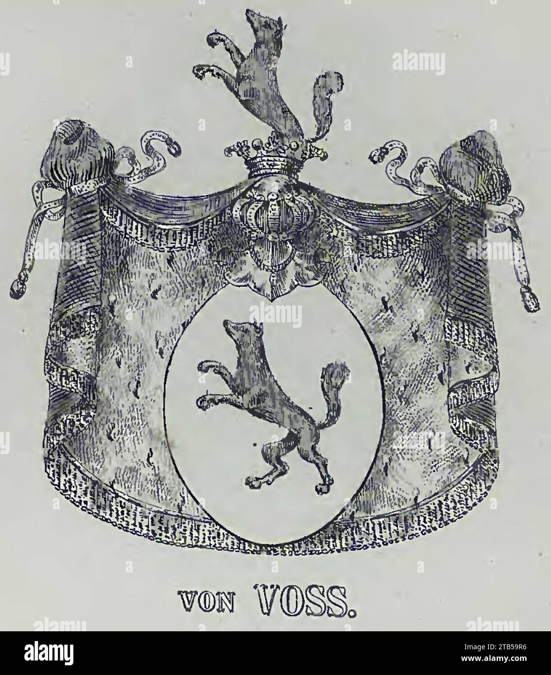 Coats_of_arms hi-res stock photography and images - Alamy