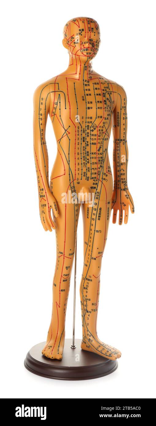 Acupuncture model. Male mannequin with dots and lines isolated on white ...
