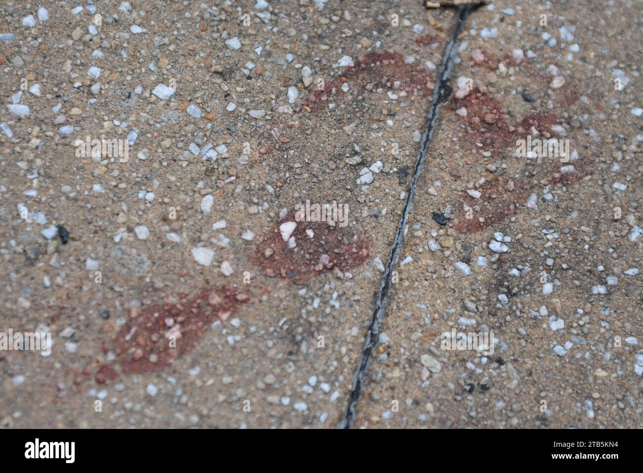 2023 with blood hi-res stock photography and images - Alamy