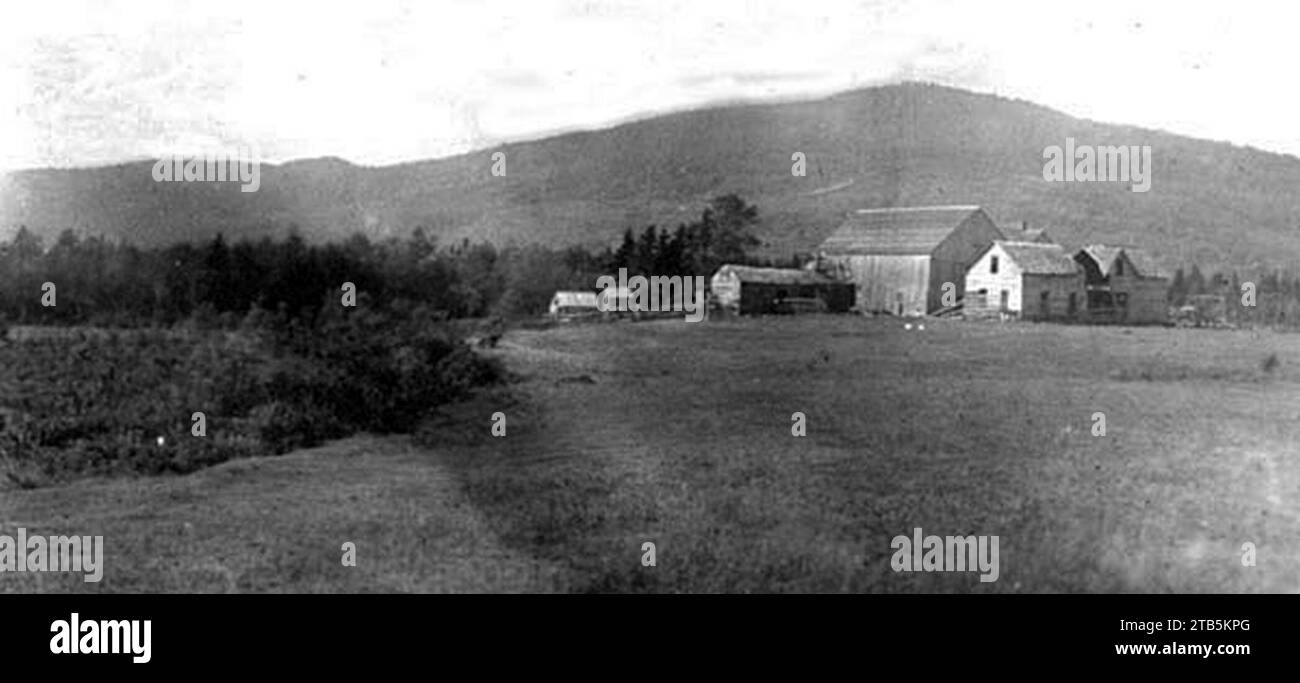 Shepody hi-res stock photography and images - Alamy