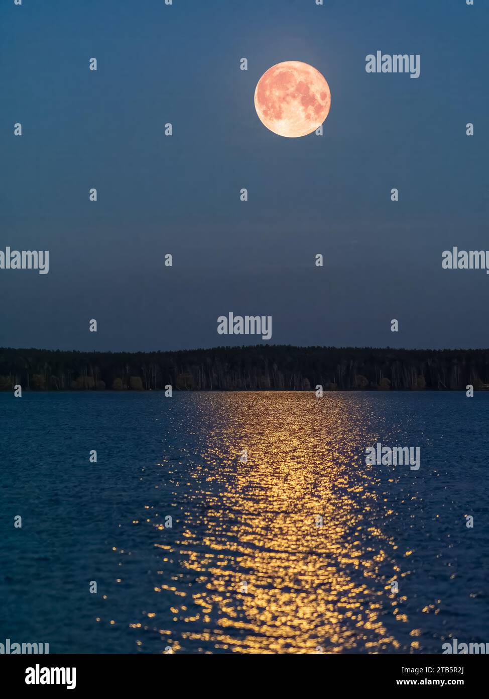 Super full blood moon and moon light over the night lake. Full red moon ...