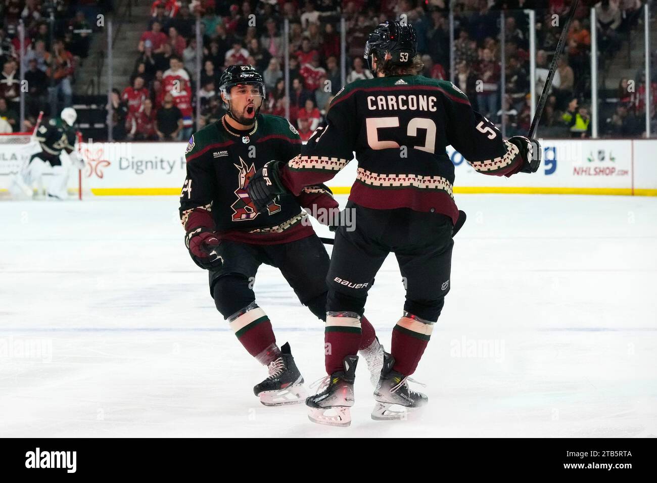 Arizona Coyotes left wing Michael Carcone (53) celebrates after his ...