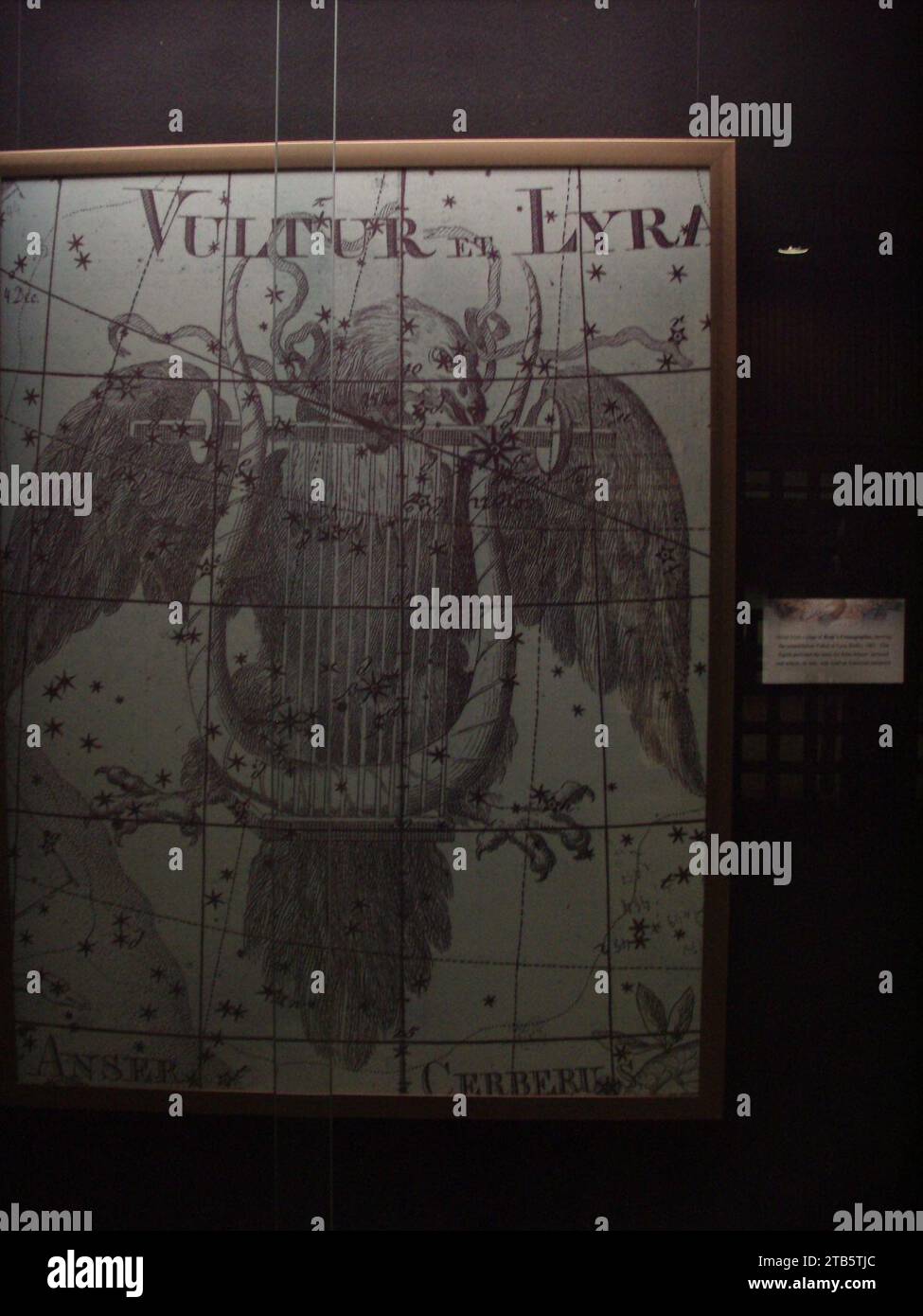 Vulter et Lyra Constellation Stock Photo - Alamy