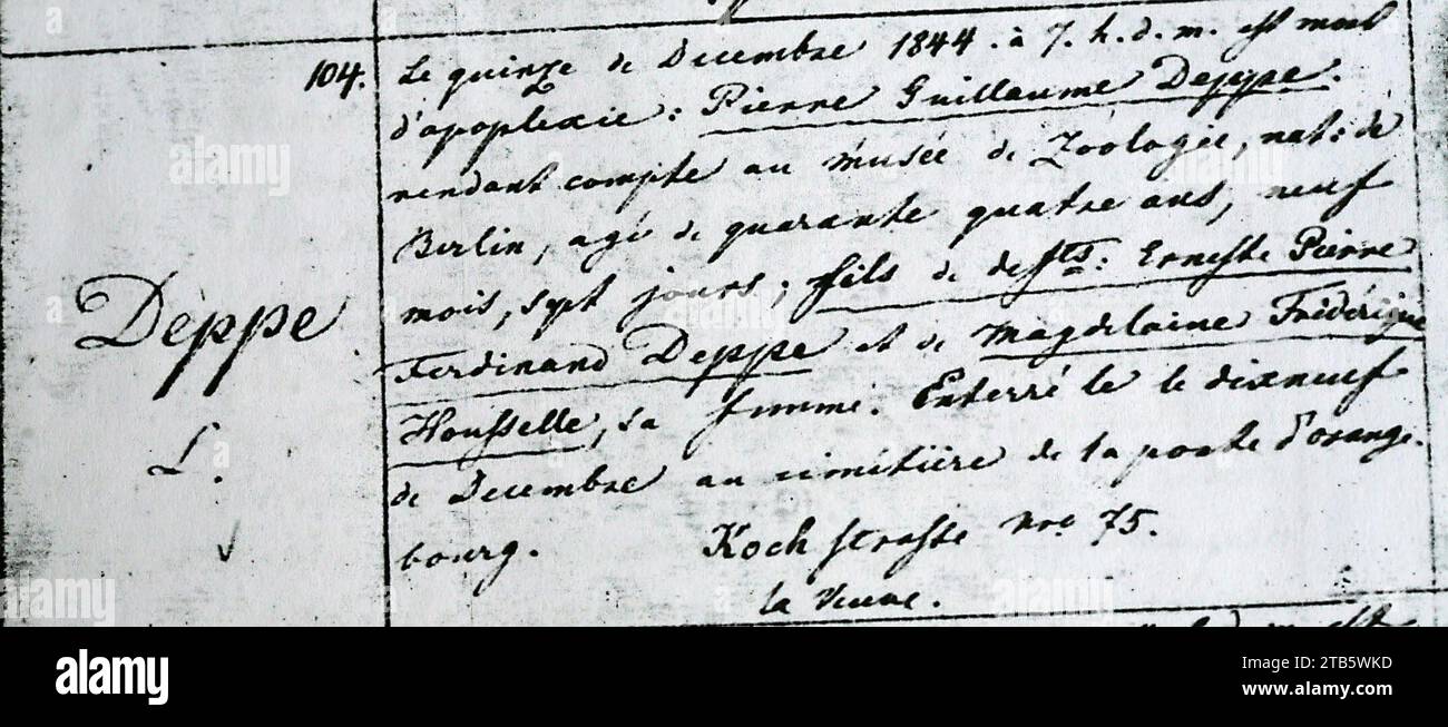 Deppe hi-res stock photography and images - Alamy