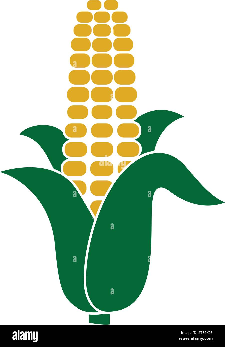 Corn grain vector vector vectors hi-res stock photography and images ...
