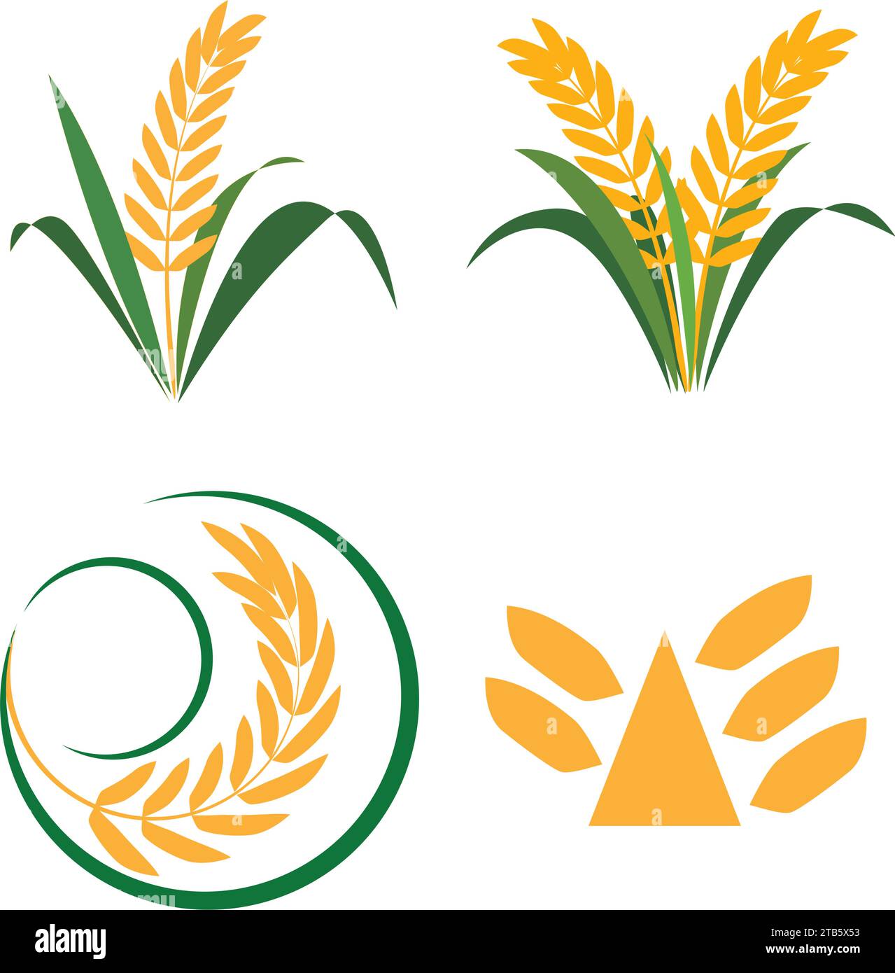 Ear of paddy rice isolated on white background. Icon vector ...