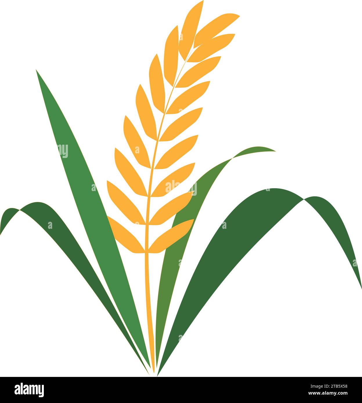 Ear of paddy rice isolated on white background. Icon vector ...