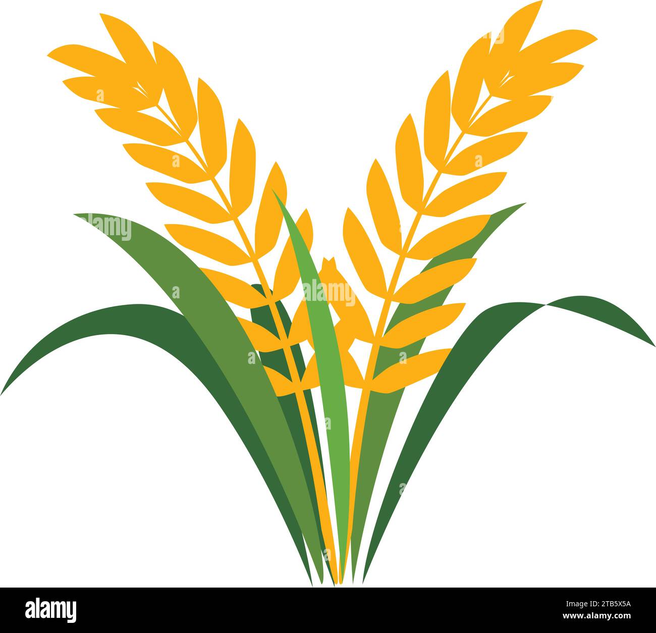 Rice Crop Clipart Png