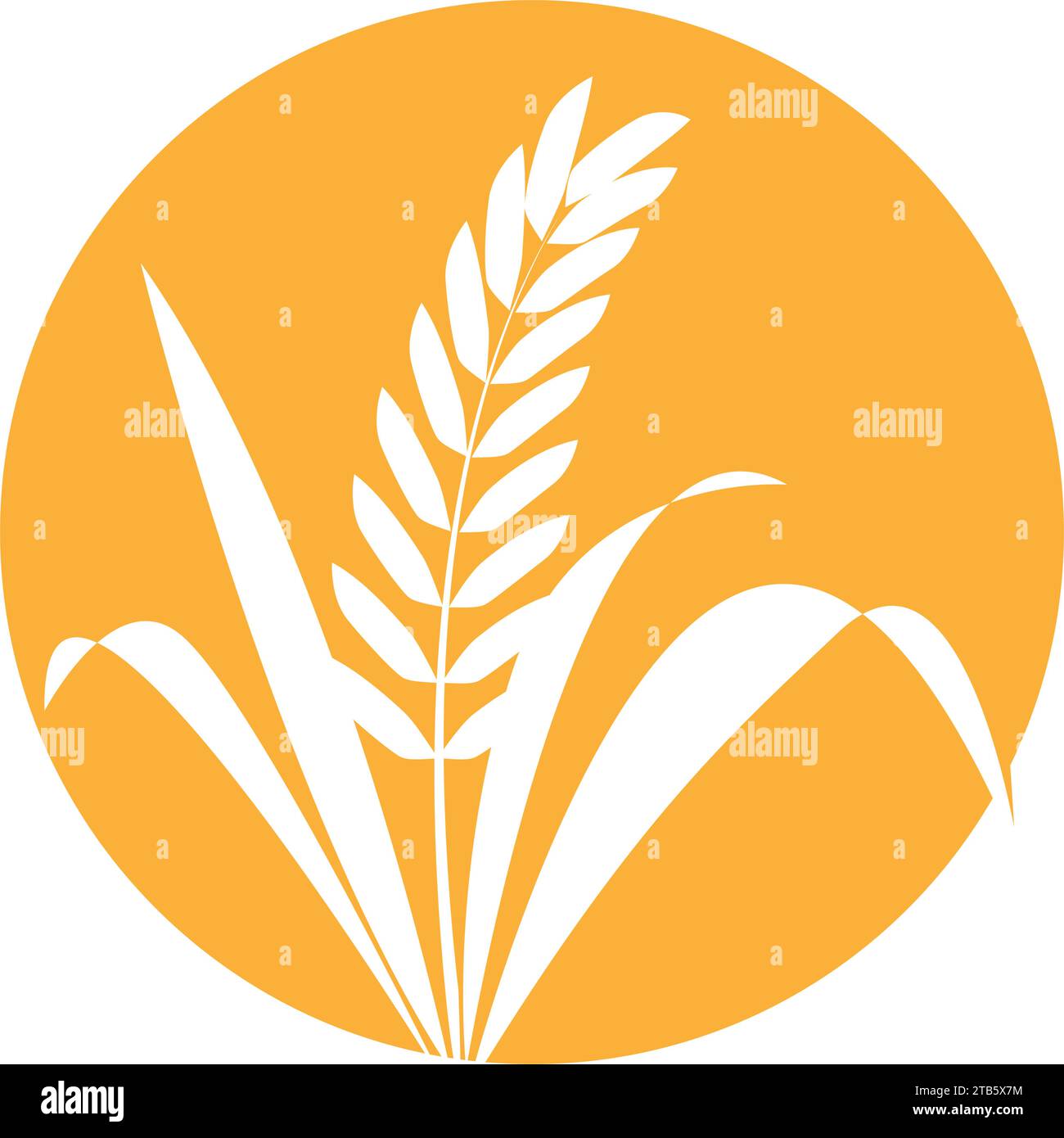 Ear of paddy rice isolated on white background. Icon vector ...