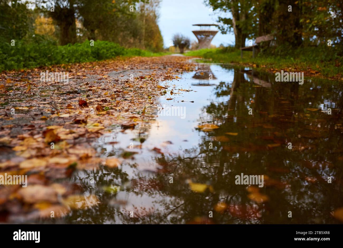 Naturschutzgebiet Woeste, Bad Sassendorf, Kreis Soest Stock Photo - Alamy Naturschutzgebiet Woeste, Bad Sassendorf, Kreis Soest Stock Photo - Alamy