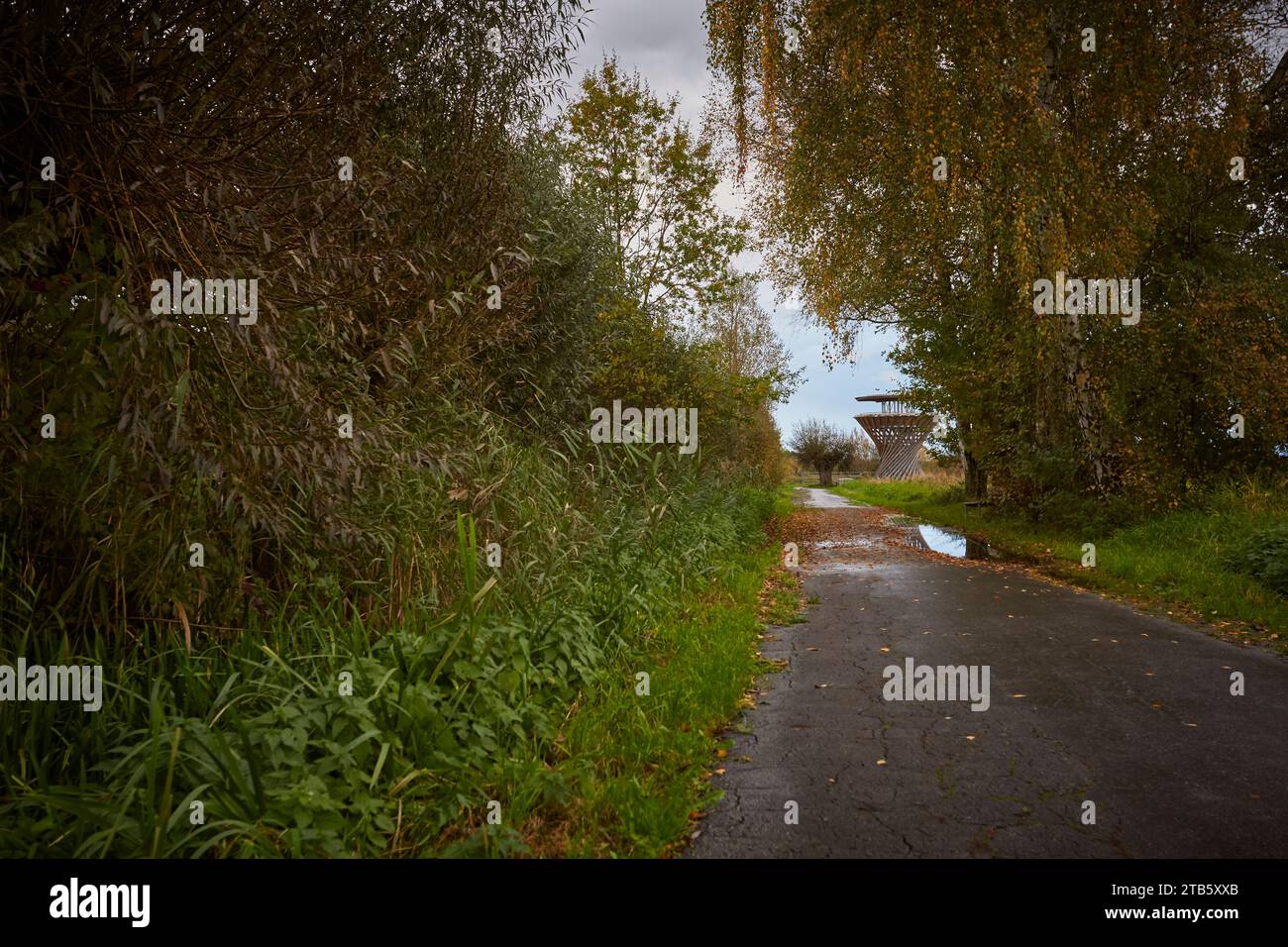 Naturschutzgebiet Woeste, Bad Sassendorf, Kreis Soest Stock Photo - Alamy Naturschutzgebiet Woeste, Bad Sassendorf, Kreis Soest Stock Photo - Alamy