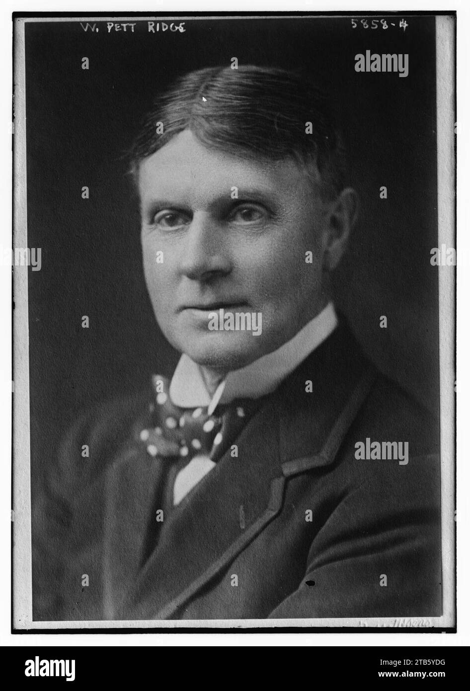 Pett Cut Out Stock Images & Pictures - Alamy