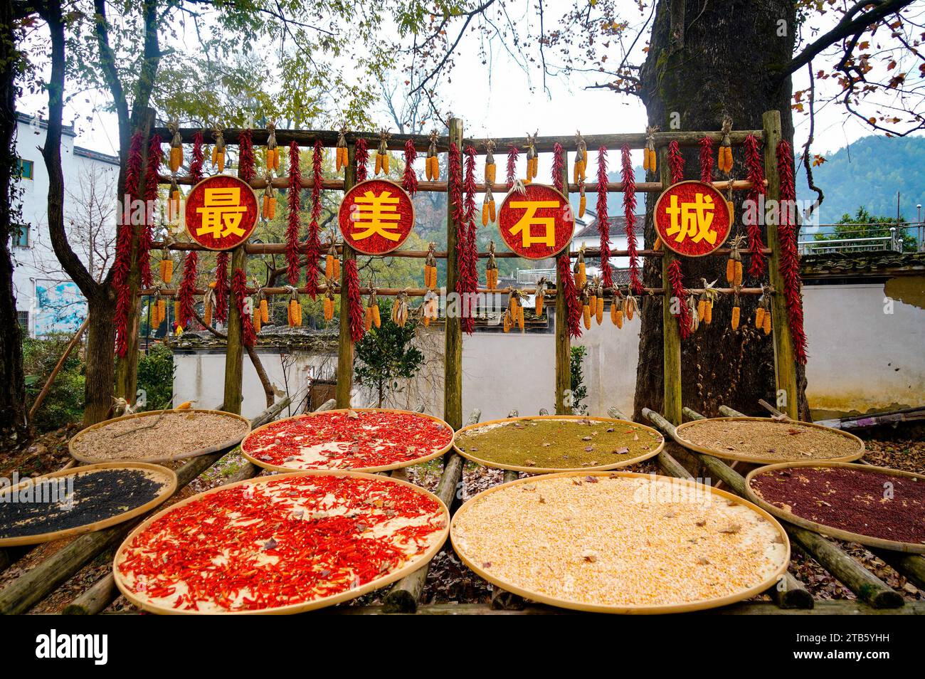 Shangrao, China. 05th Dec, 2023. SHANGRAO, CHINA - DECEMBER 3, 2023 ...