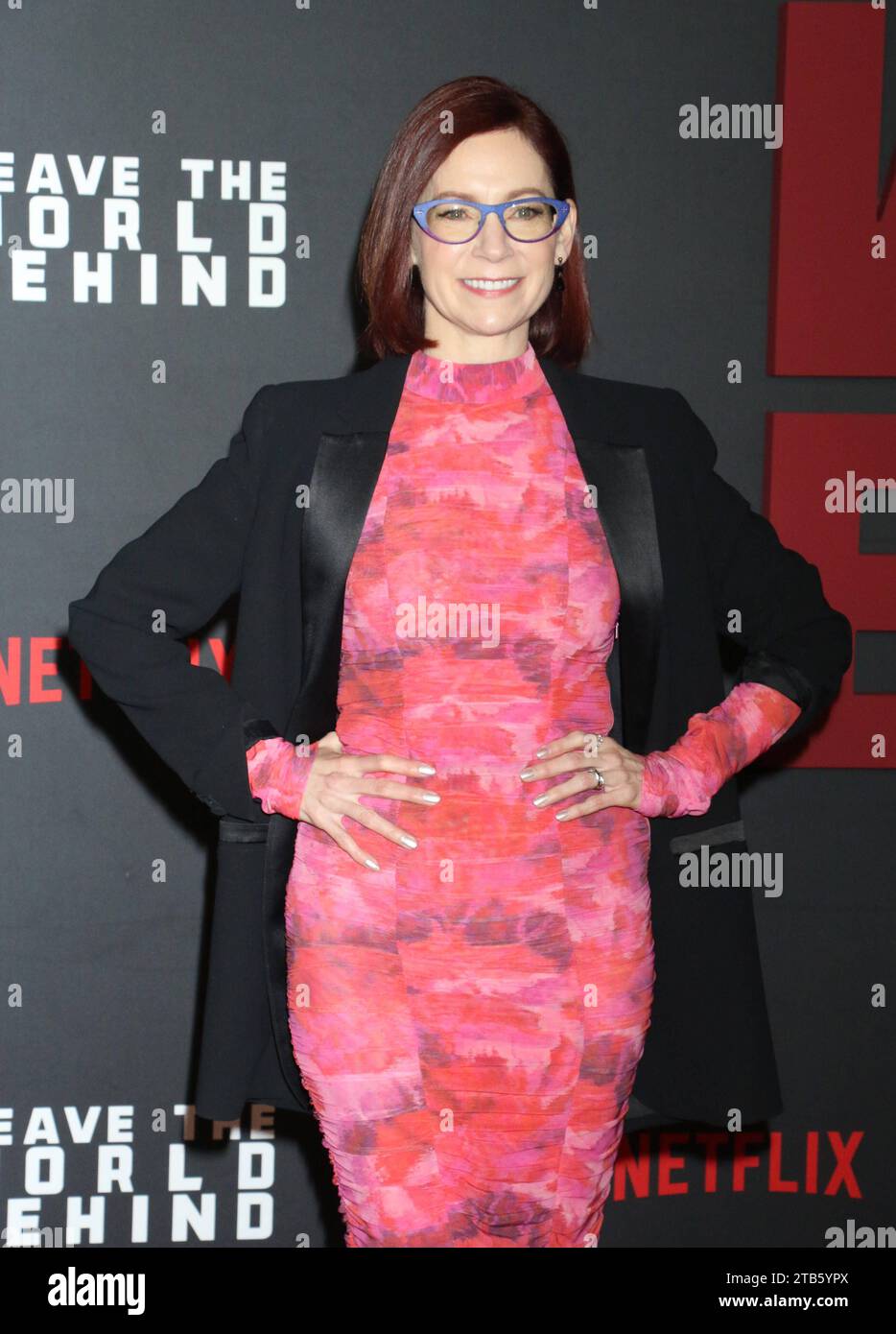 NEW YORK, NY - DECEMBER 4: Carrie Preston at Netflix s Leave The World ...