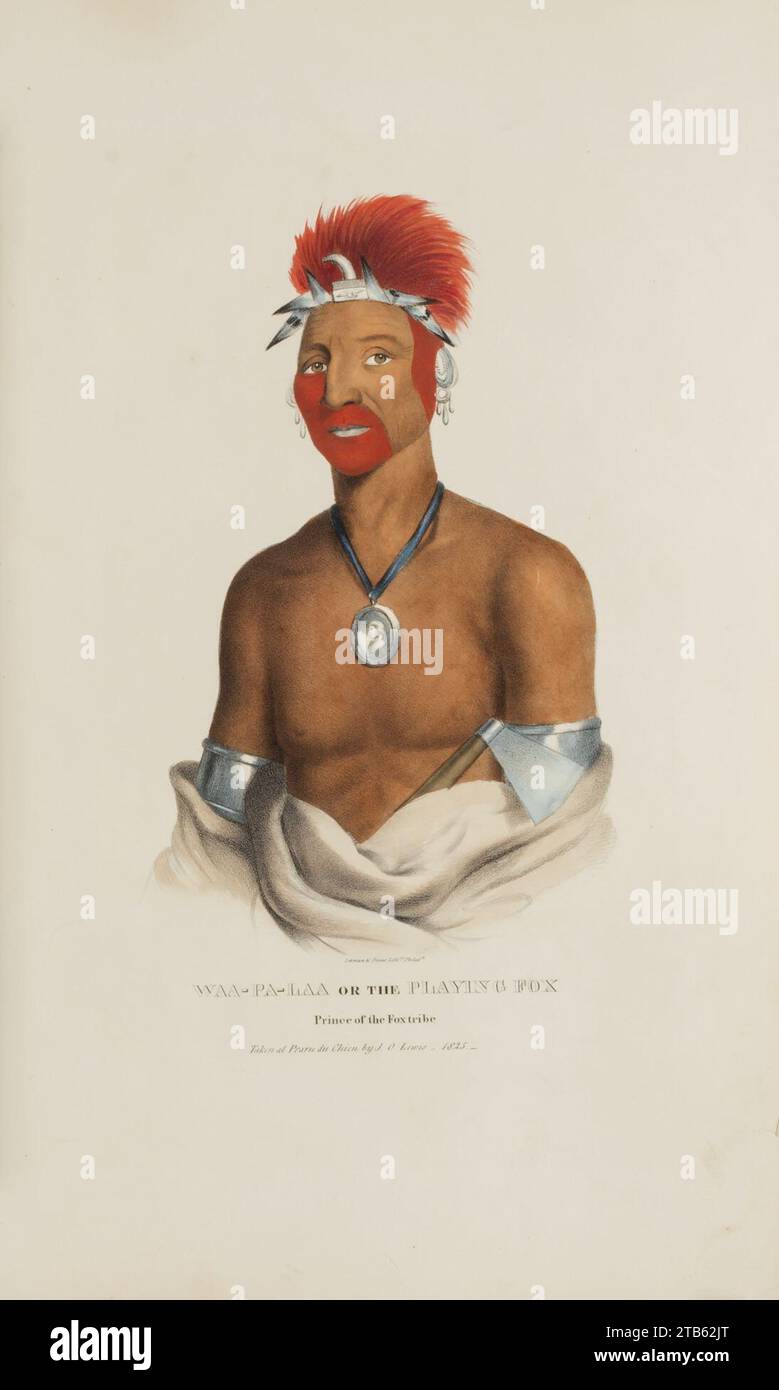 Fox tribe hi-res stock photography and images - Alamy