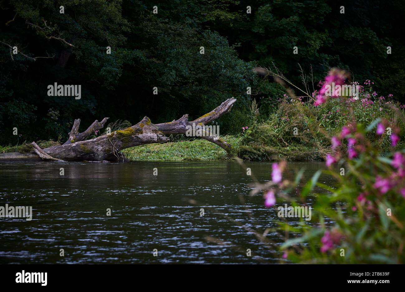 Echthausener wehr hi-res stock photography and images - Alamy