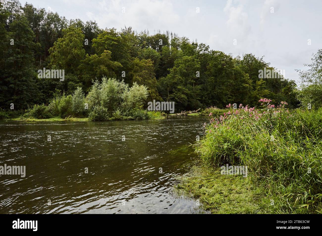 Echthausener wehr hi-res stock photography and images - Alamy