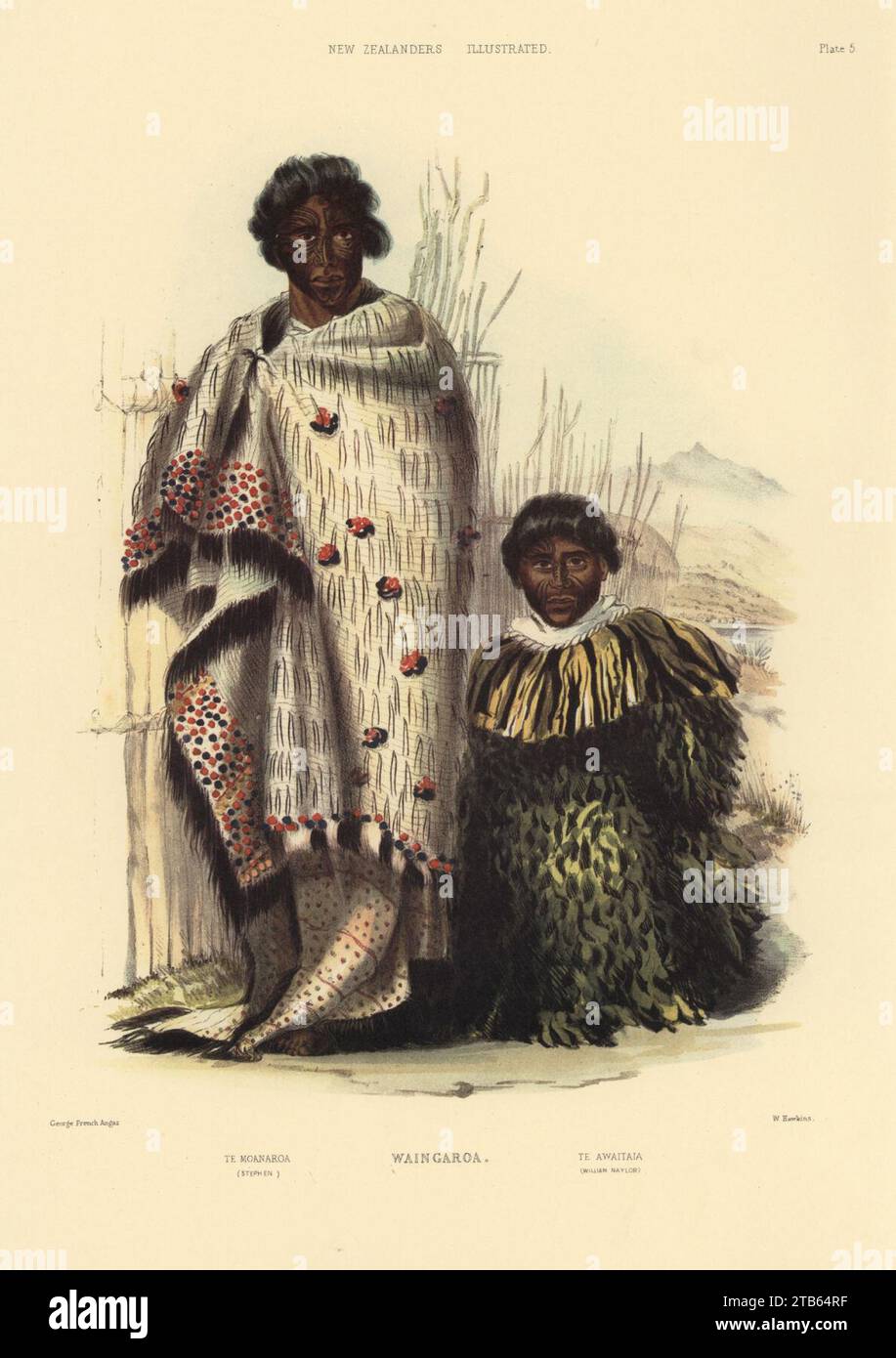 Moanaroa hi-res stock photography and images - Alamy