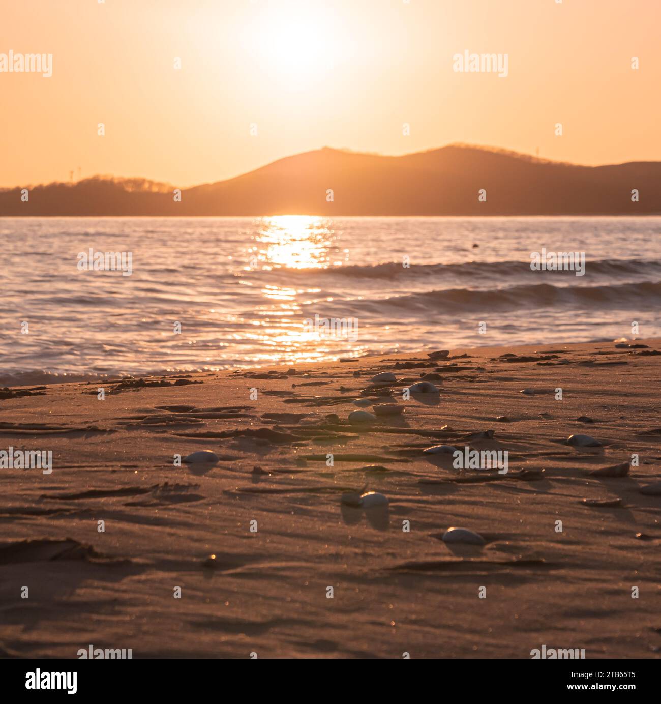 Sunset on the beach. Orange and golden sunset sky calmness tranquil ...
