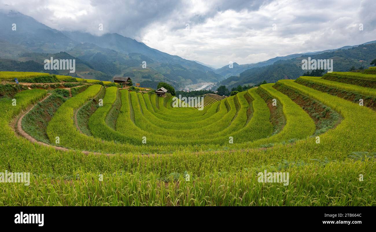 Landscape with green and yellow rice terraced fields and cloudy sky ...