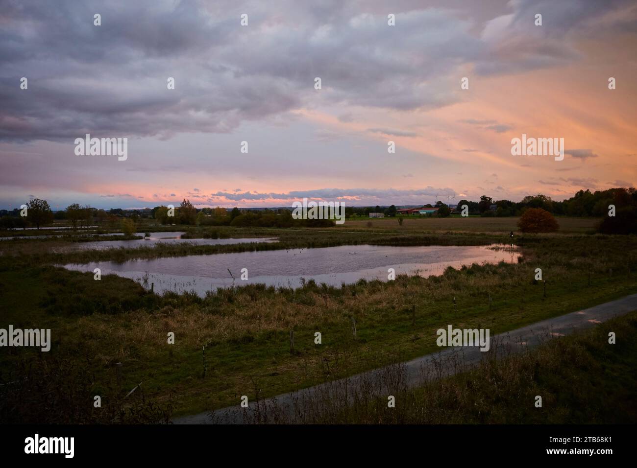 Sarah feld hi-res stock photography and images - Alamy