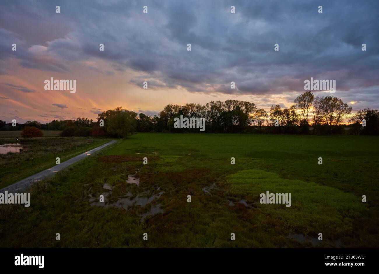 Naturschutzgebiet Woeste, Bad Sassendorf-Ostinghausen, Kreis Soest ...