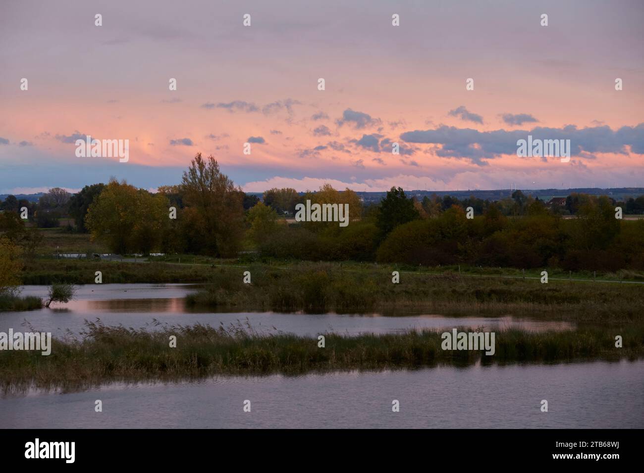 Sarah feld hi-res stock photography and images - Alamy