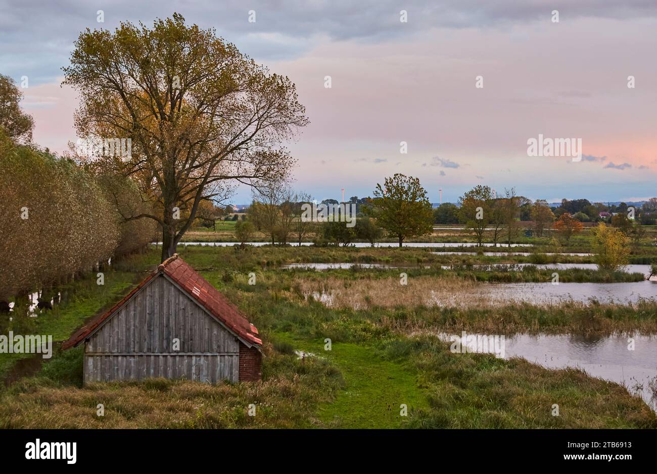 Sarah feld hi-res stock photography and images - Alamy