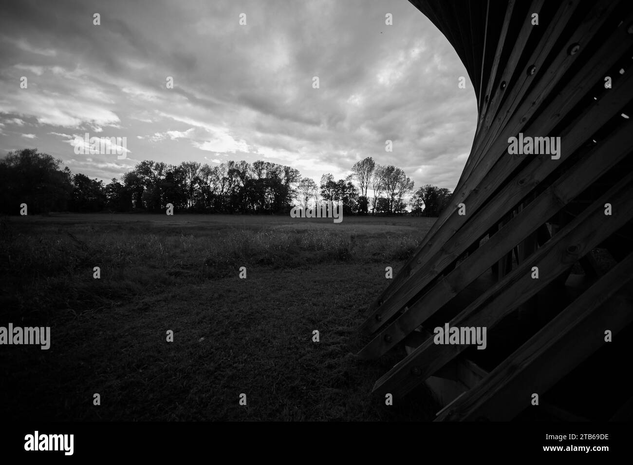 Insekten fotografie Black and White Stock Photos & Images - Alamy